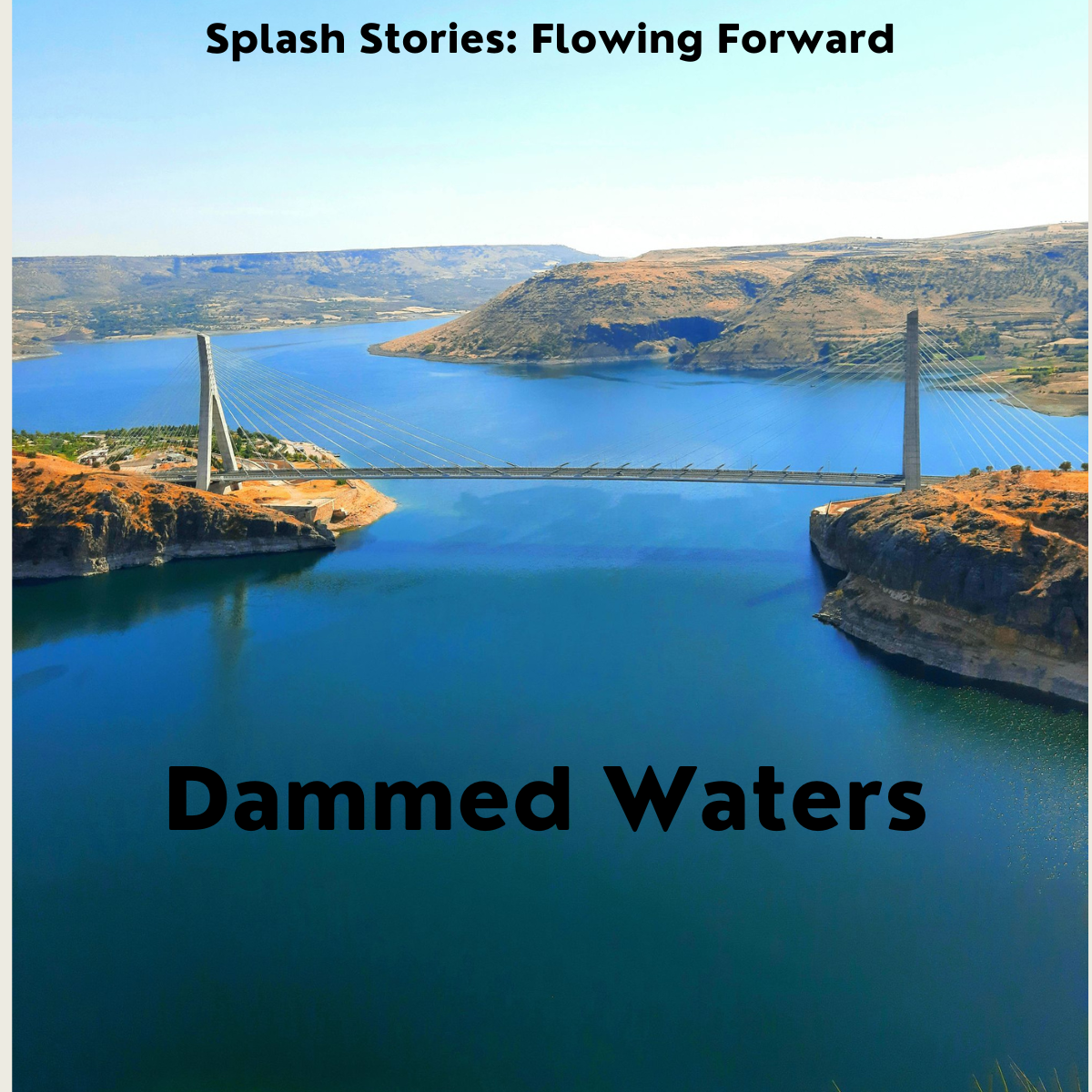 Navigating the Waters: Exploring the Consequences of Dams and Climate ...